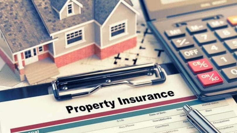 Insurance Sixteen - Insurance 16